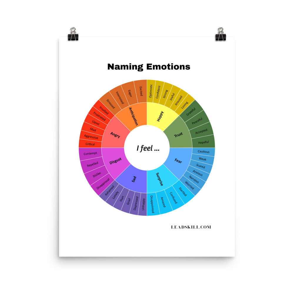 NAMING EMOTIONS Poster Print – 48 Emotions Wheel - Leadskill