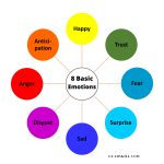 8 BASIC EMOTIONS Wheel | Digital Download | Starting point for ...
