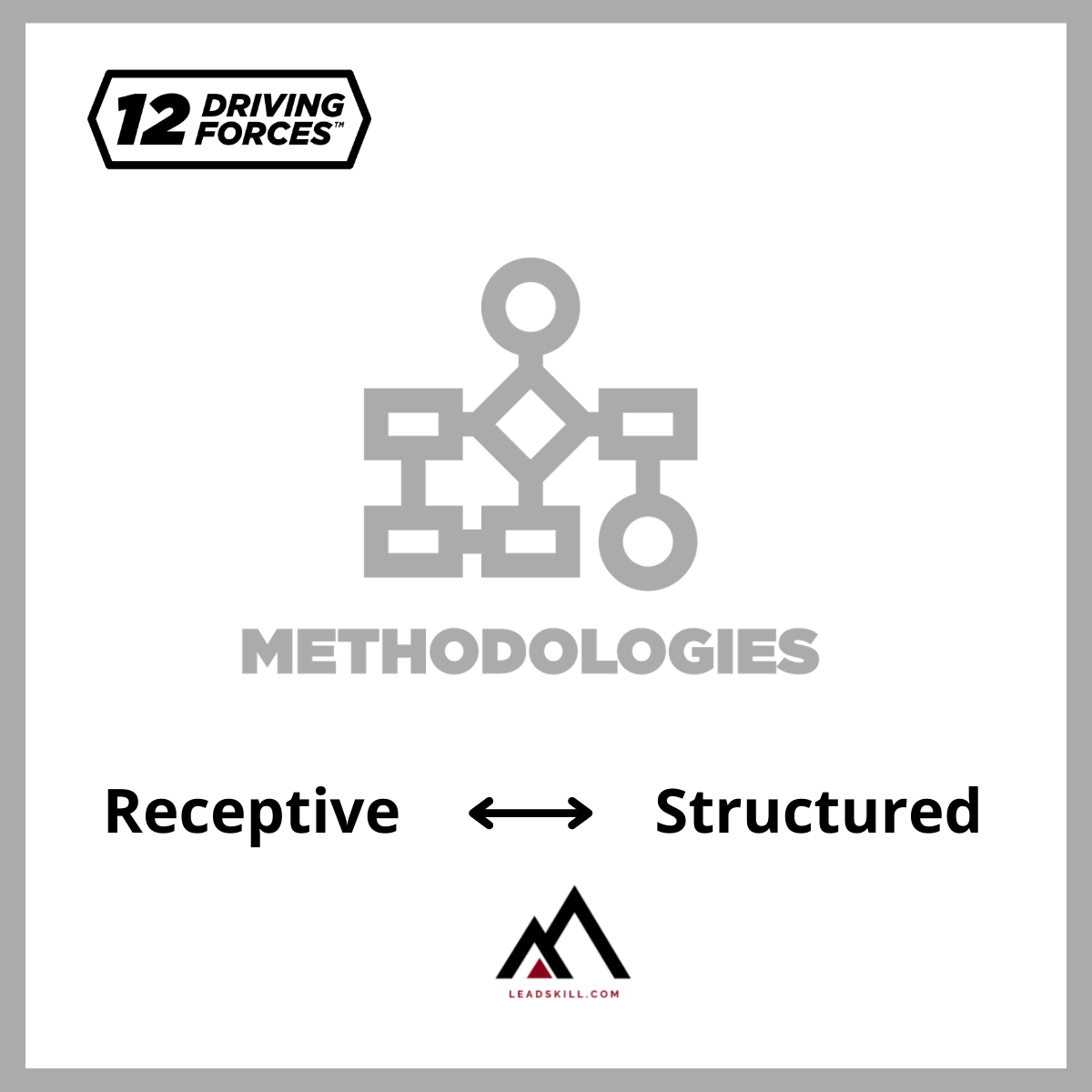 Driving Forces - Leadskill