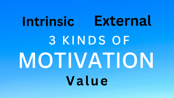 Three Kinds of Motivation – and which works best – Leadskill