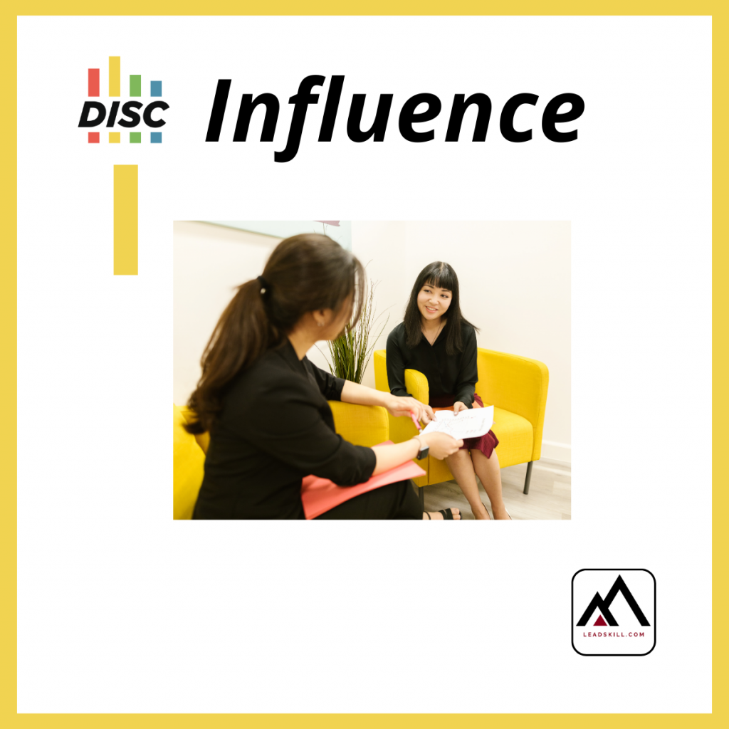 DISC Assessment - Leadskill